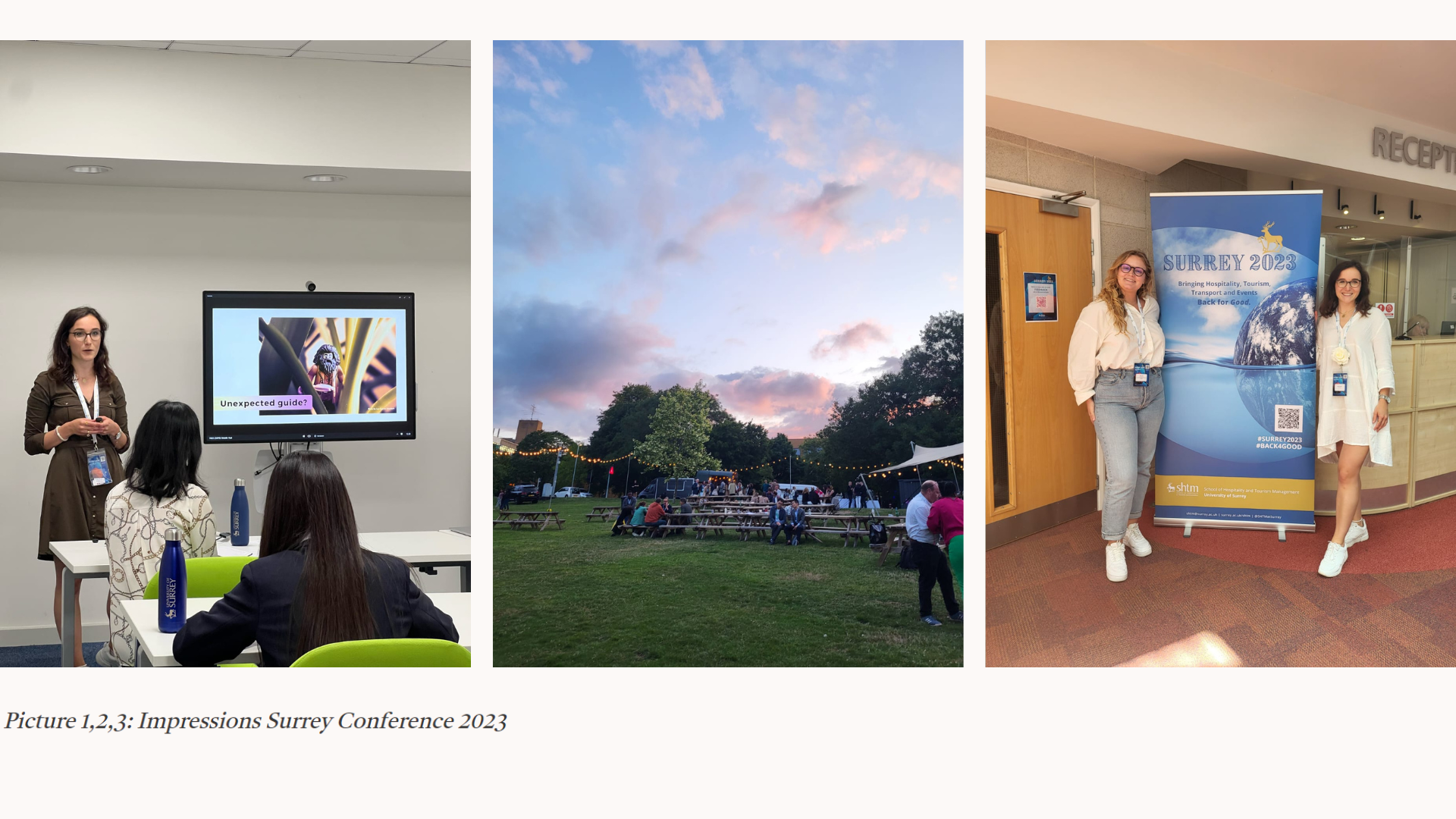 Surrey Conference 2023: Research Presentation on Transformative Event ...